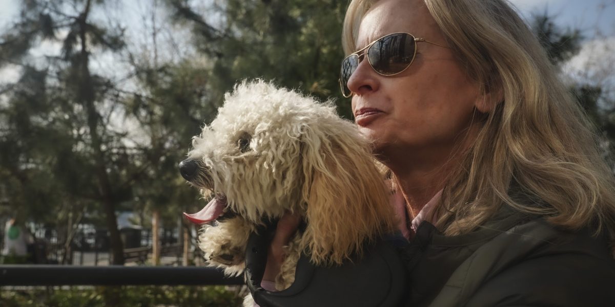 Dog weed poisonings surge as marijuana legalization spreads | Fortune
