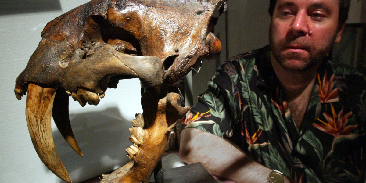 Ancient caveman weapons reveal sabertooth, mammoth hunting | Fortune