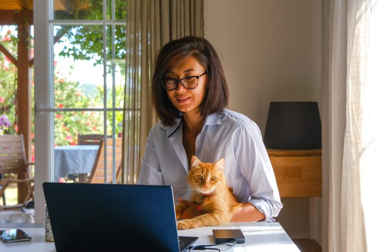 How did cats evolve into pets over thousands of years? | Fortune Well