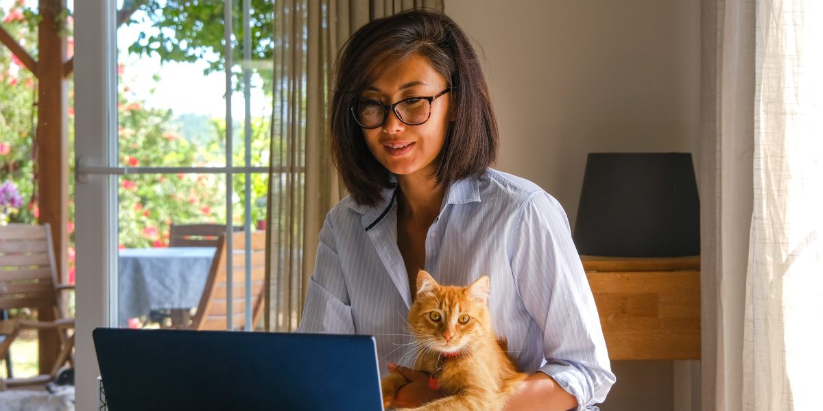 How did cats evolve into pets over thousands of years? | Fortune Well