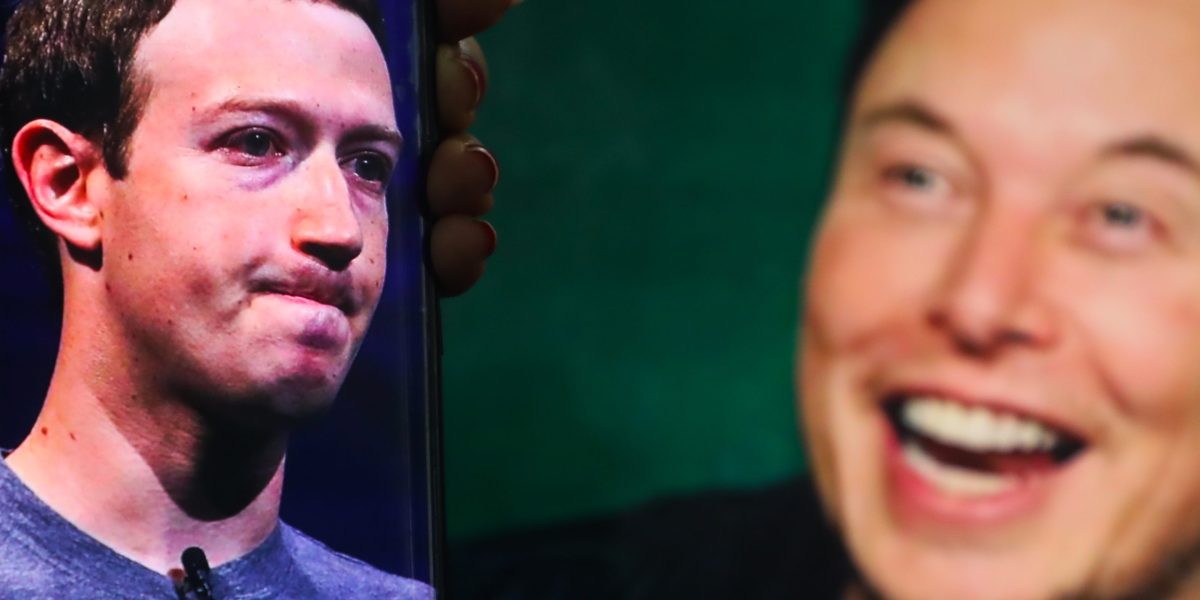 Musk-Zuckerberg cage match fight is 'performance of virility' | Fortune