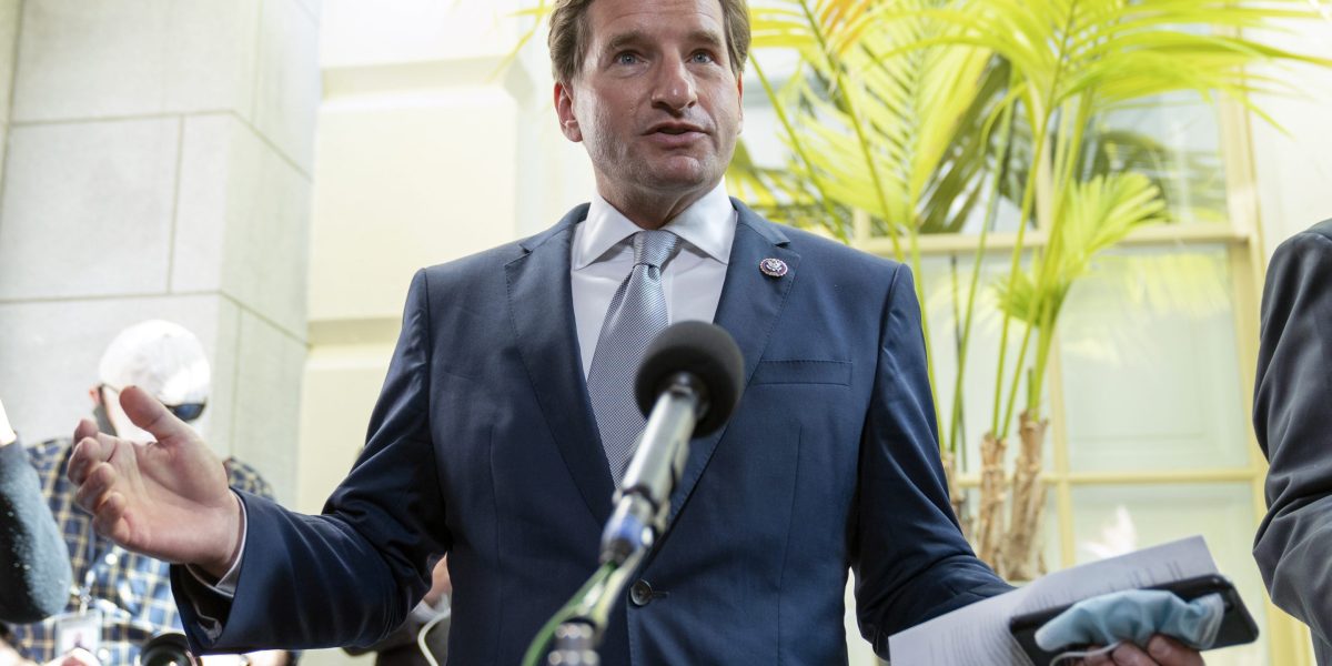 Rep. Dean Phillips will challenge Biden for the Democratic presidential ...