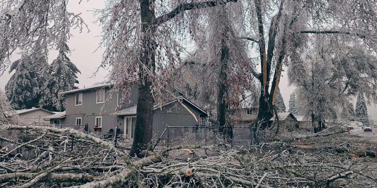 Deadly January storms have turned U.S. roads into icy death traps ...