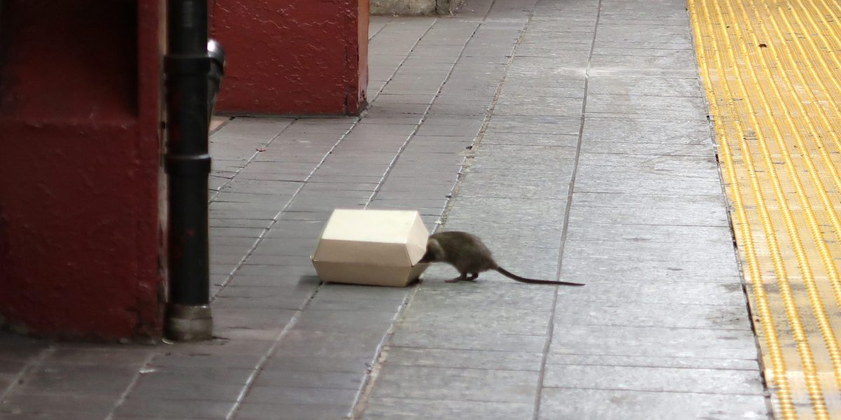 Fortune Article | Fortune