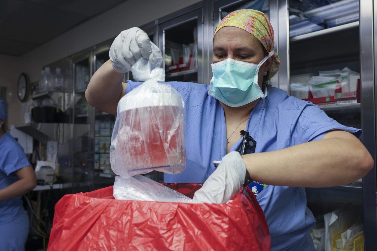Here's What Every Organ in the Body Would Cost to Transplant | Fortune