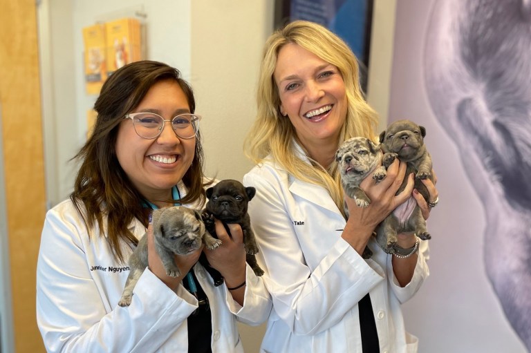 CityVet Company Profile, Stock Price, News, Rankings | Fortune