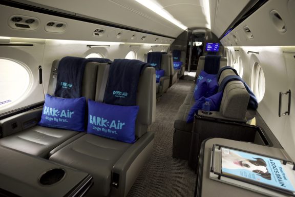 Flights take off for the new Bark airline, where you can pay $6,000 to ...