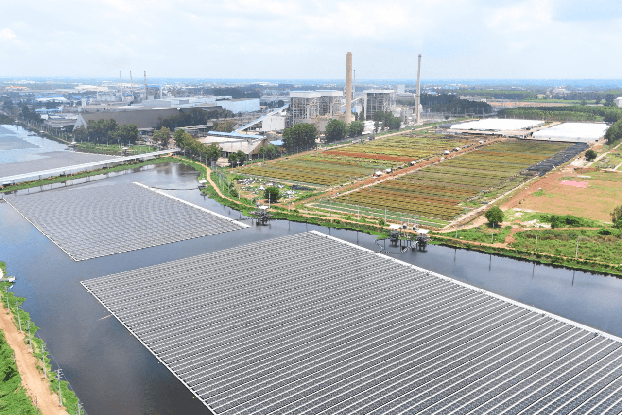 National Power Supply Company Profile, Stock Price, News, Rankings ...