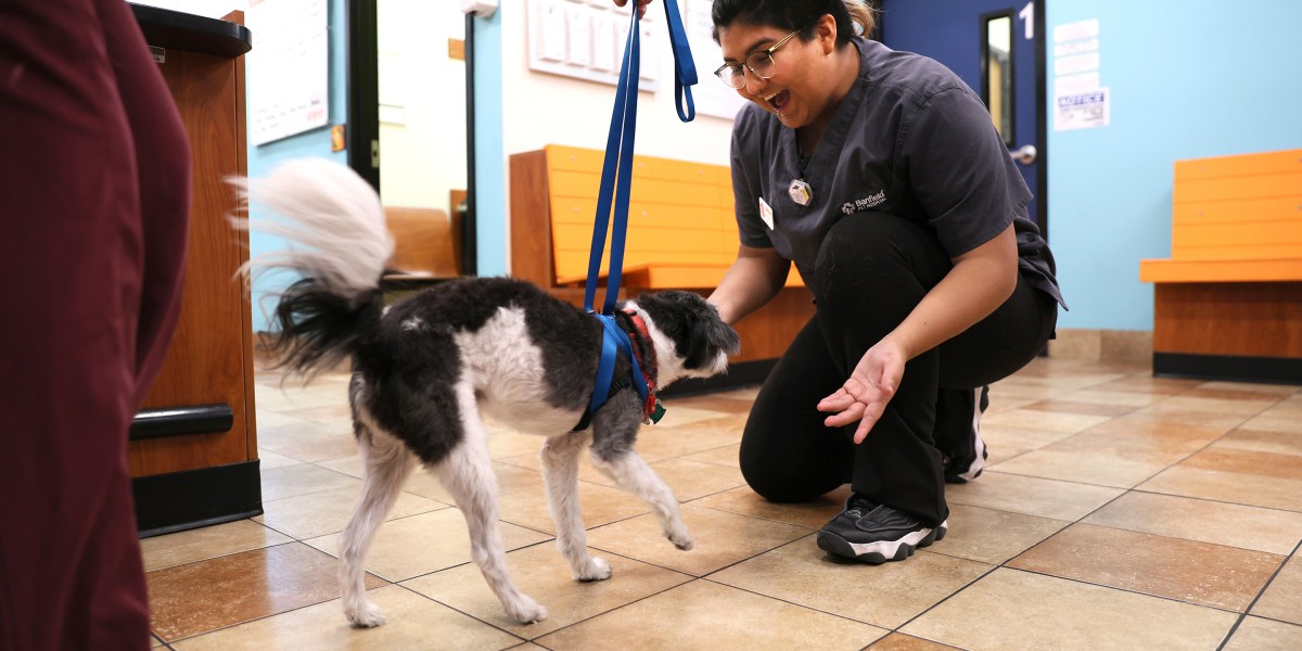 Candy maker Mars is the biggest provider of vet care in the country: A ...
