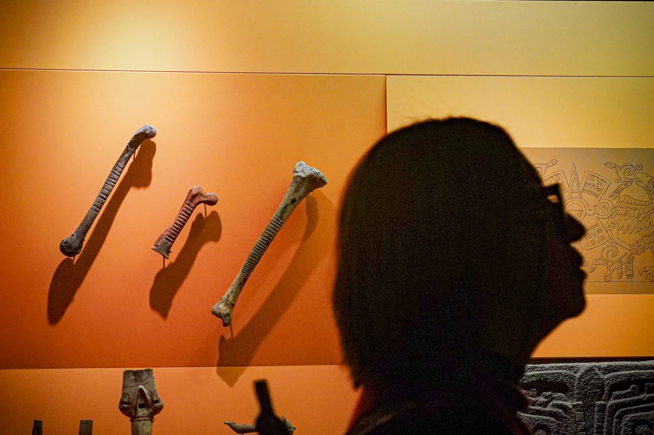 Native American tribes have been waiting 6 months for museums to return ...