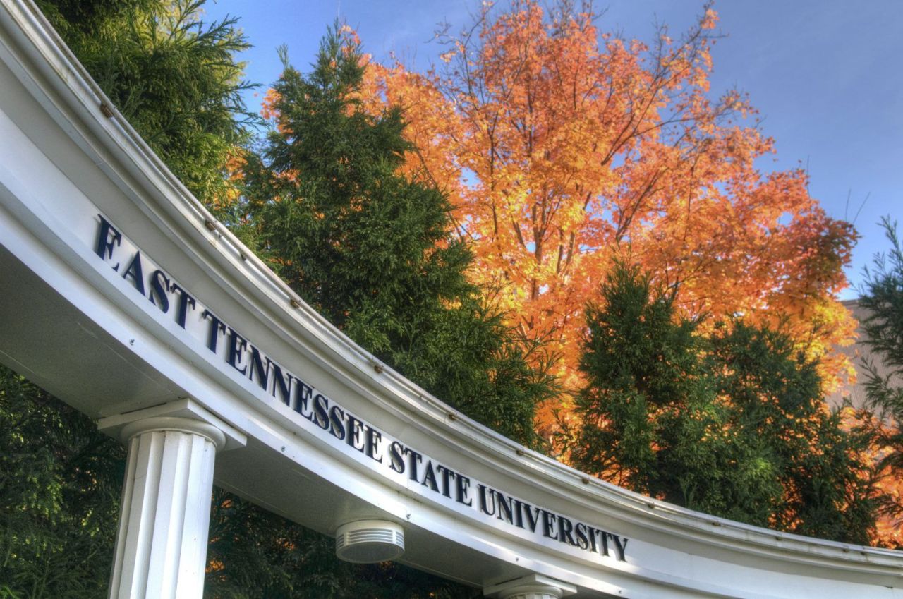 Best Online MSN Nurse Practitioner Programs for 2024 | Fortune Education