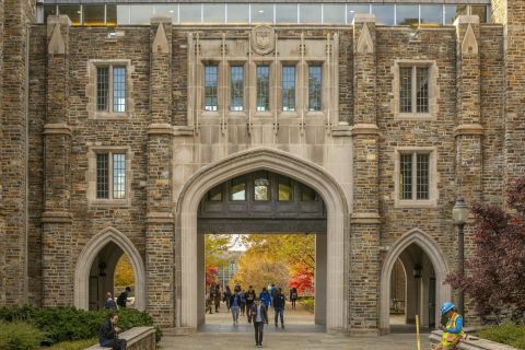 Best MBA Programs for 2025 — Sustainability | Fortune Education