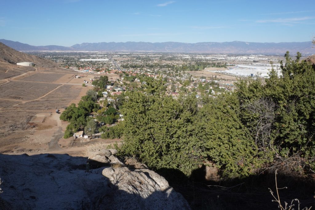 The Jurupa Oak, ancient tree, is endangered by a potential development ...