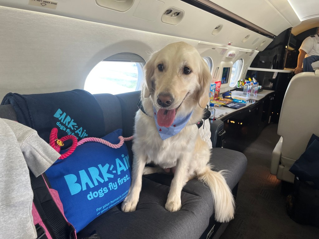 What it's like to fly Bark Air, the luxury airline for dogs | Fortune