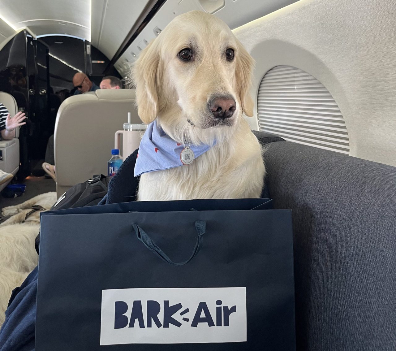 What it's like to fly Bark Air, the luxury airline for dogs | Fortune