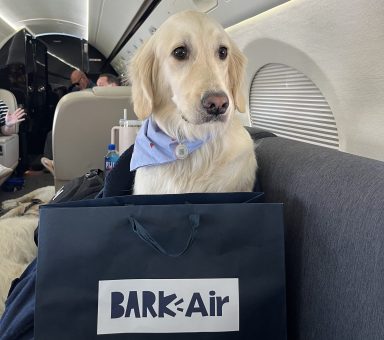 What it's like to fly Bark Air, the luxury airline for dogs | Fortune