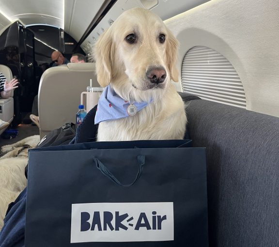What it's like to fly Bark Air, the luxury airline for dogs | Fortune