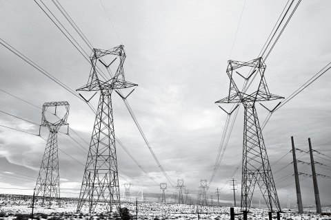 How Harvard’s Most Popular Class Became a ‘Lifestyle’ | Fortune