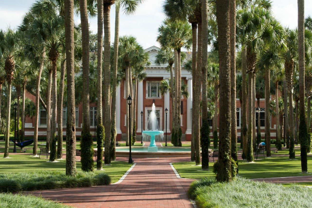 Best Online MBA Programs in Florida for 2024 | Fortune Education