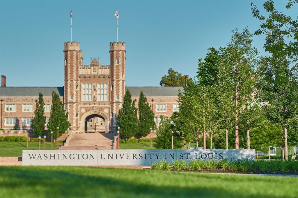 Best MBA Programs for 2025 — International Business | Fortune Education
