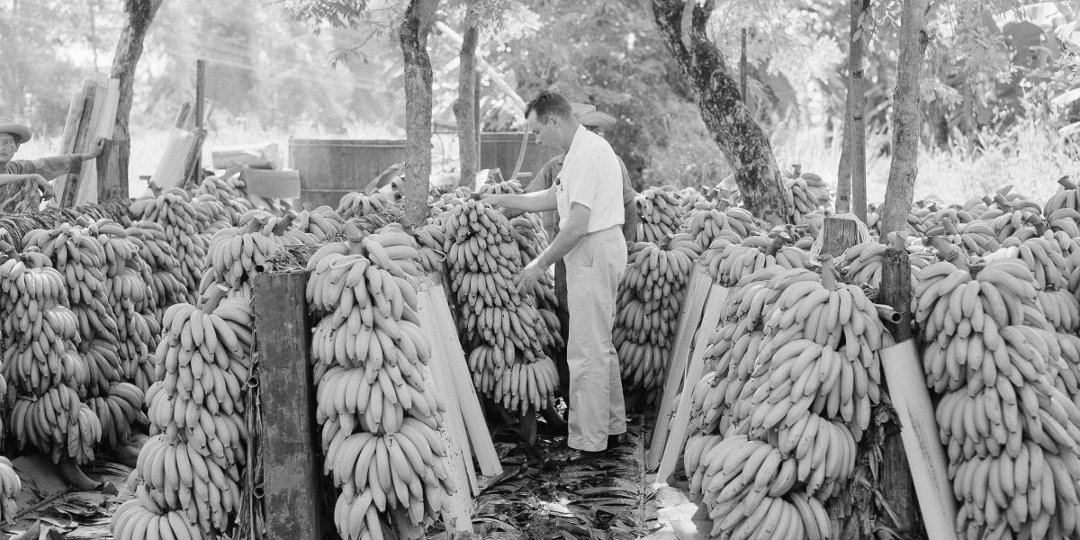A dispatch from the banana wars | Fortune
