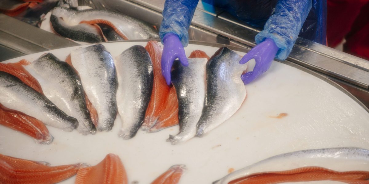 A tough winter in Norway is threatening its key export: salmon | Fortune