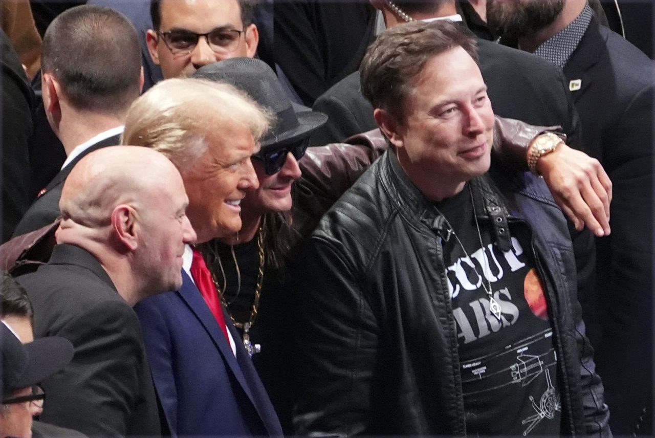 ‘Welcome to the Elon Musk presidency’: How Musk's warnings helped tank ...