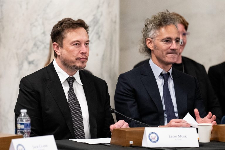 DOGE stocks: Palantir leads AI revolution as Musk targets government ...