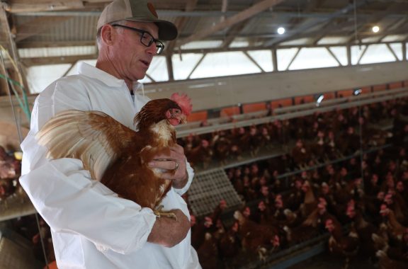 USDA trying to rehire employees working to curb bird flu spread after ...