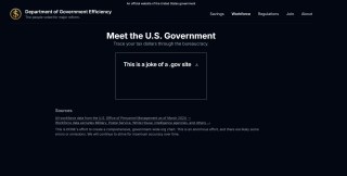 Elon Musk's DOGE launched its website. It was hacked within days | Fortune