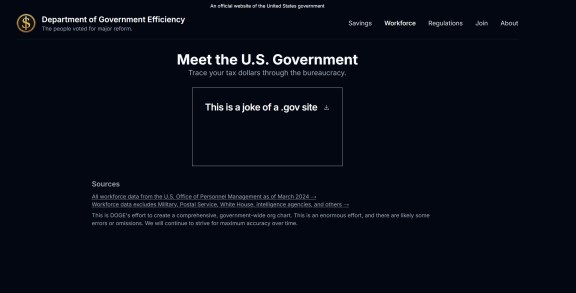 Elon Musk's DOGE launched its website. It was hacked within days | Fortune