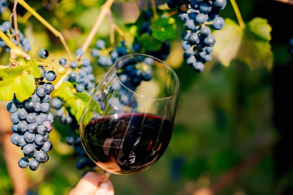 Tariffs or not, wine prices are set to spike considerably | Fortune