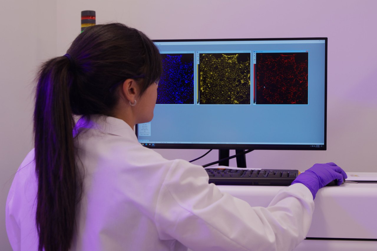 Will AI ever cure cancer, Alzheimer’s, and other human diseases? The ...