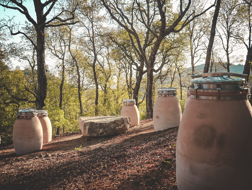 How a mountaintop Chilean winery is harnessing the earth’s energy to ...