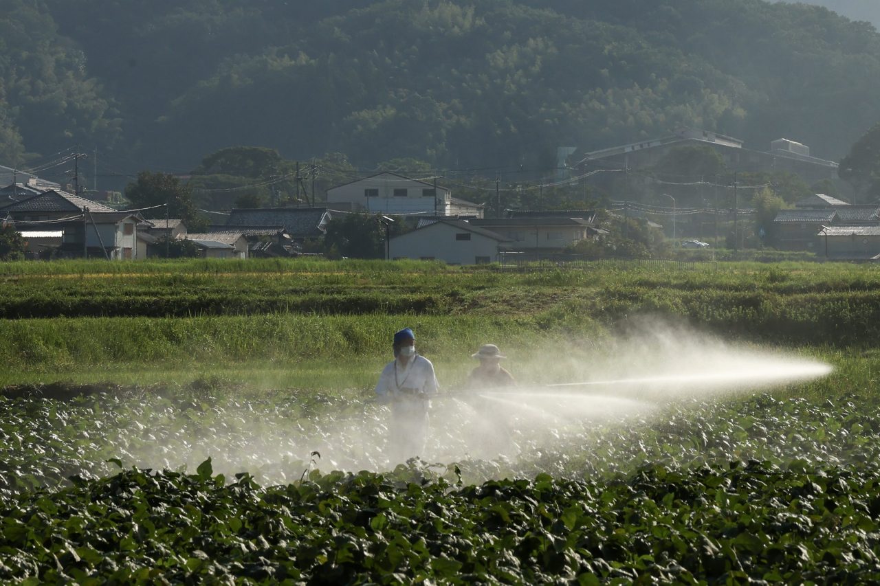 Farmer says 'we're in a very dire situation'—with zero soybean orders ...