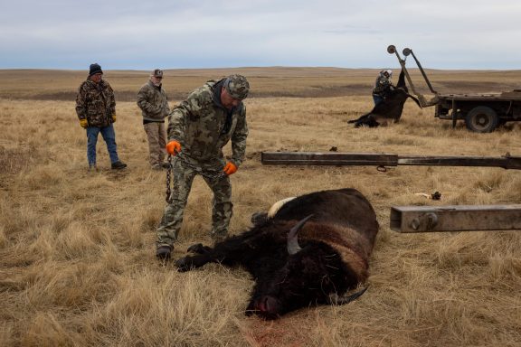 Shutdown starvation was so bad that some Native American tribes killed ...
