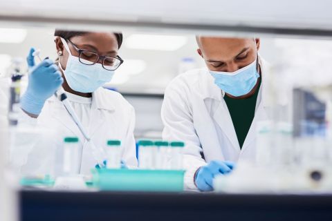 Solventum (SOLV): Company Profile, Stock Price, News, Rankings | Fortune