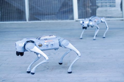 Robot dogs priced at $300,000 a piece are now guarding some of the ...